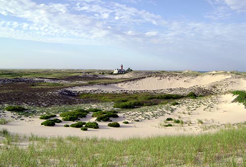 Discover the Monomoy National Wildlife Refuge – Cape Cod Tufts Club Discover the Monomoy National Wildlife Refuge – Cape Cod Tufts Club